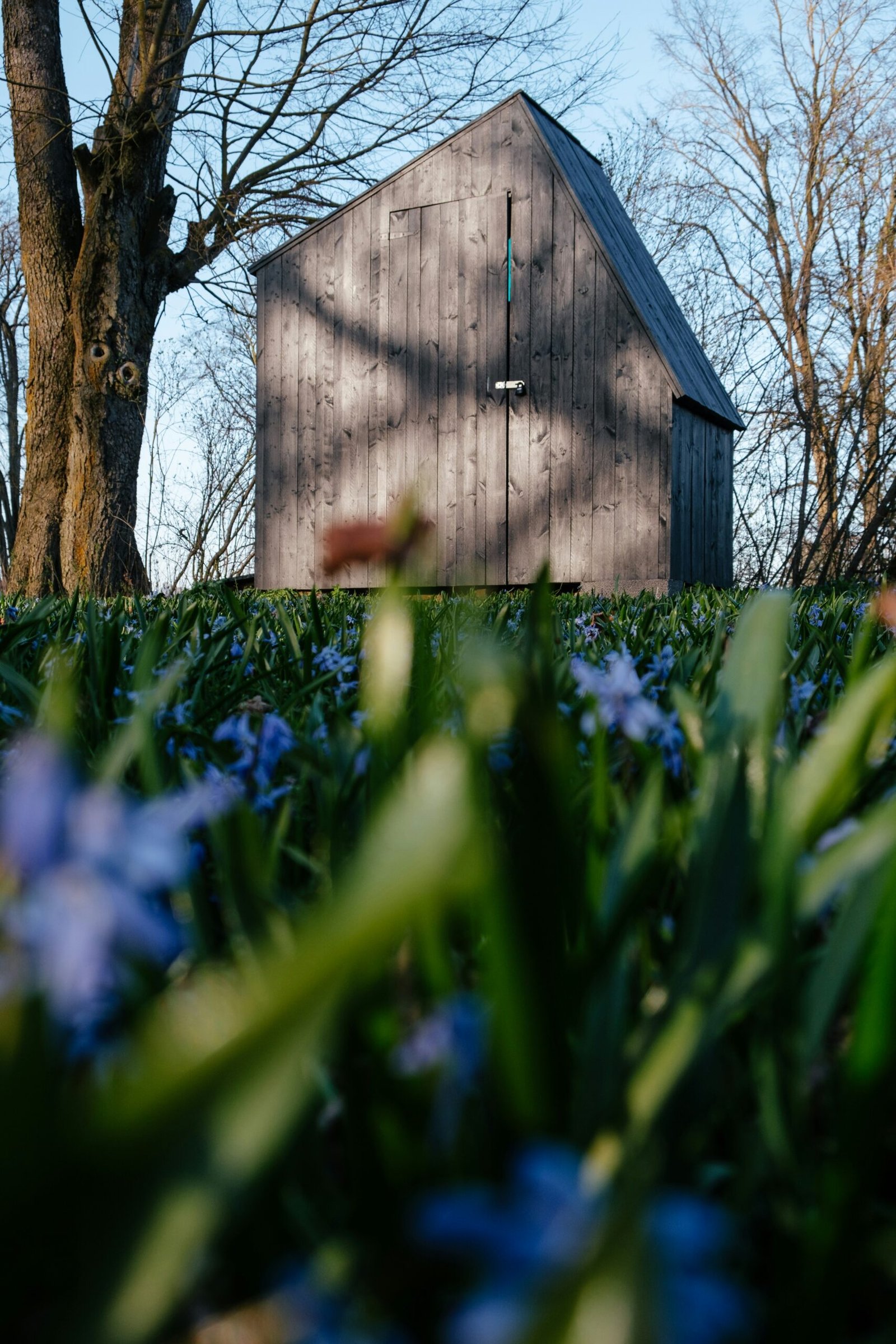 Shed Styles Around the World: A Comparative Exploration - Shed World