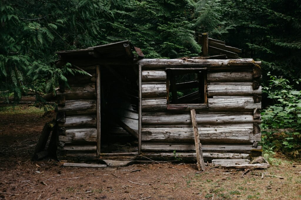 Unveiling the Timeless Legacy: The History and Evolution of Sheds ...