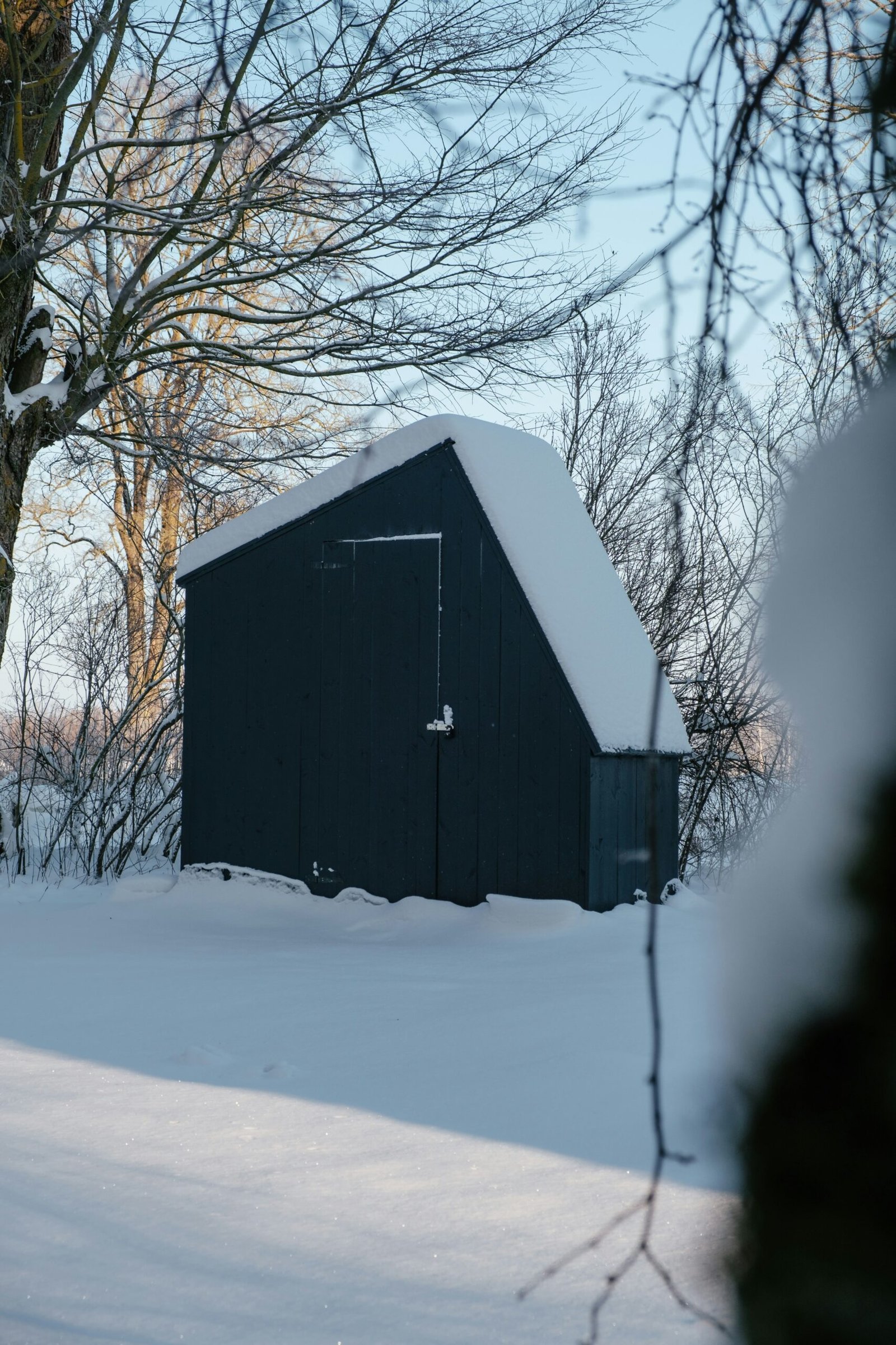 How to Choose the Right Shed for Your Backyard: A Comprehensive Guide ...